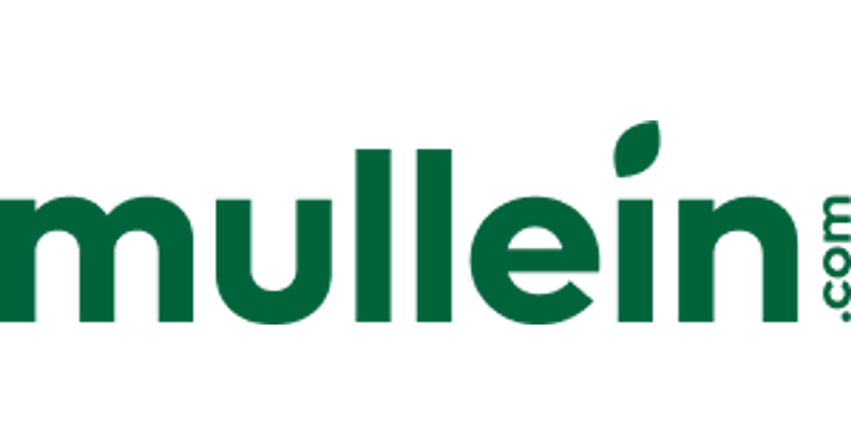 Quality Mullein Products To Enhance Your Breathing Naturally – Mullein.com